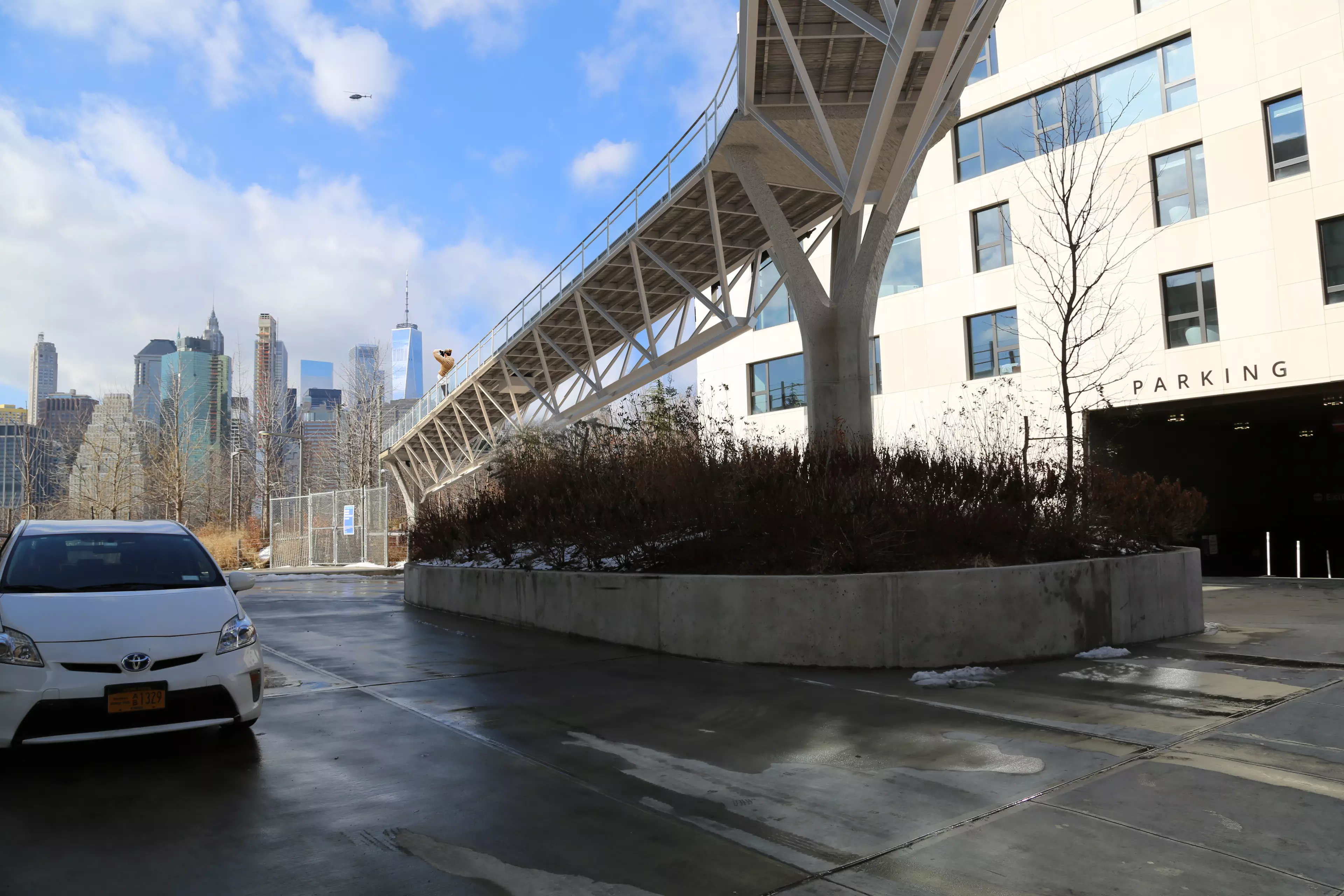 Arup, il ponte di Squibb, il parco del ponte di brooklyn