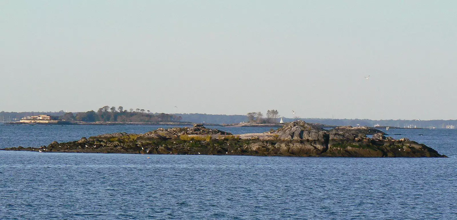 Siçovul adası