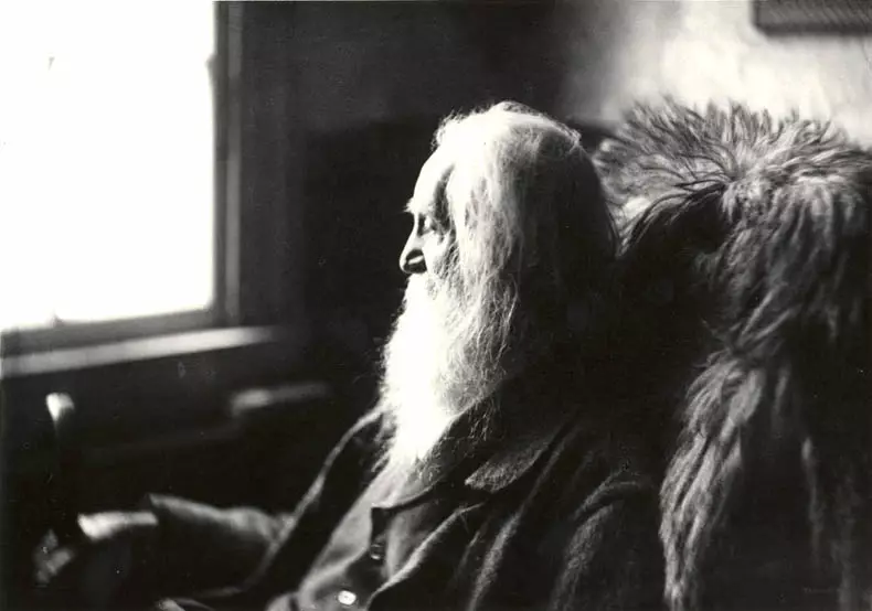 Nova York de Walt Whitman: 10 locais onde o poeta deixou sua marca 10322_1