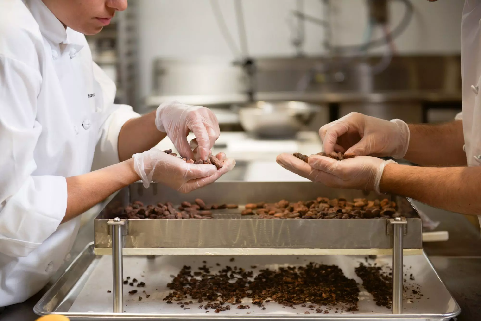 VIDEO: Podívejte se, jak se vyrábí čokoláda bean-to-bar v Institutu kulinářského vzdělávání 10742_1