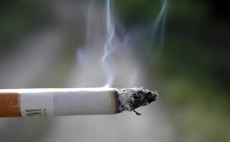 Ծխախոտի ծխելը, Ծխախոտի ծուխը