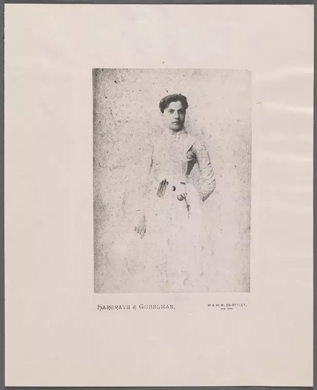 Lillian Wald's Lower East Side: van de bezoekende verpleegster tot de Henry Street-nederzetting 11449_2