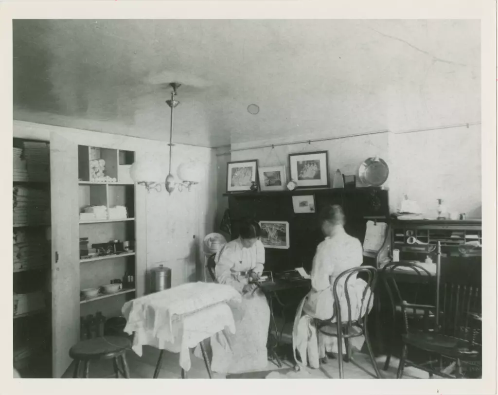 Lillian Wald's Lower East Side: Kubva kune Inoshanyira Nurse Service kuenda kuHenry Street Settlement. 11449_3