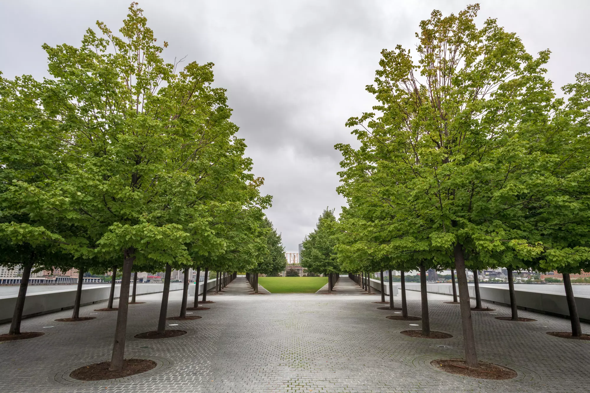 Waar ek werk: Die Four Freedoms Park-span praat oor Louis Kahn, FDR, en die behoud van 'n nalatenskap 11923_9