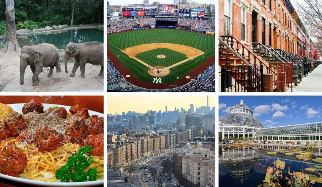 Bêste fan 'e Bronx: Wat te dwaan en te sjen yn' e noardlikste wyk