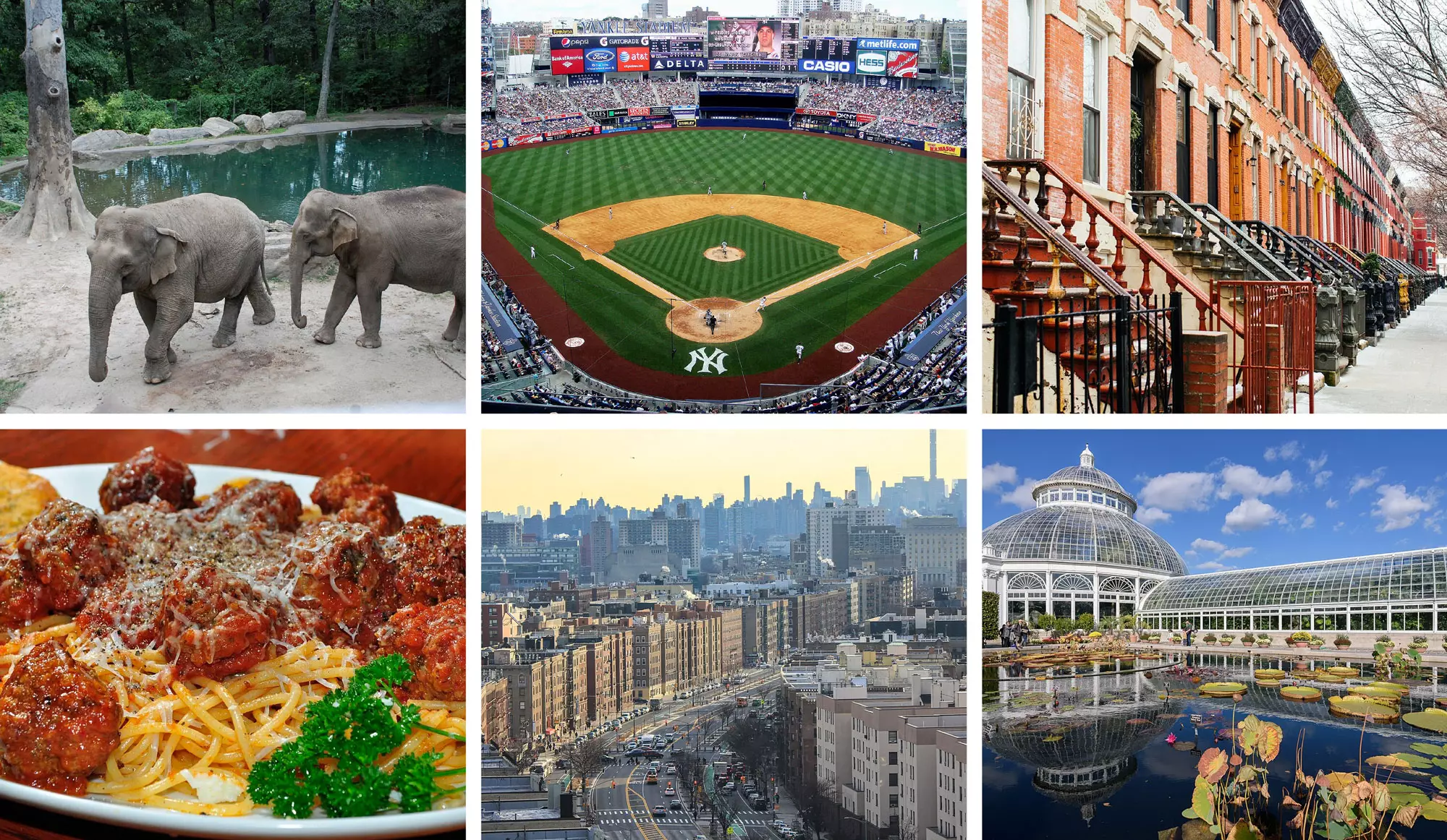 Bêste fan 'e Bronx: Wat te dwaan en te sjen yn' e noardlikste wyk 119_1