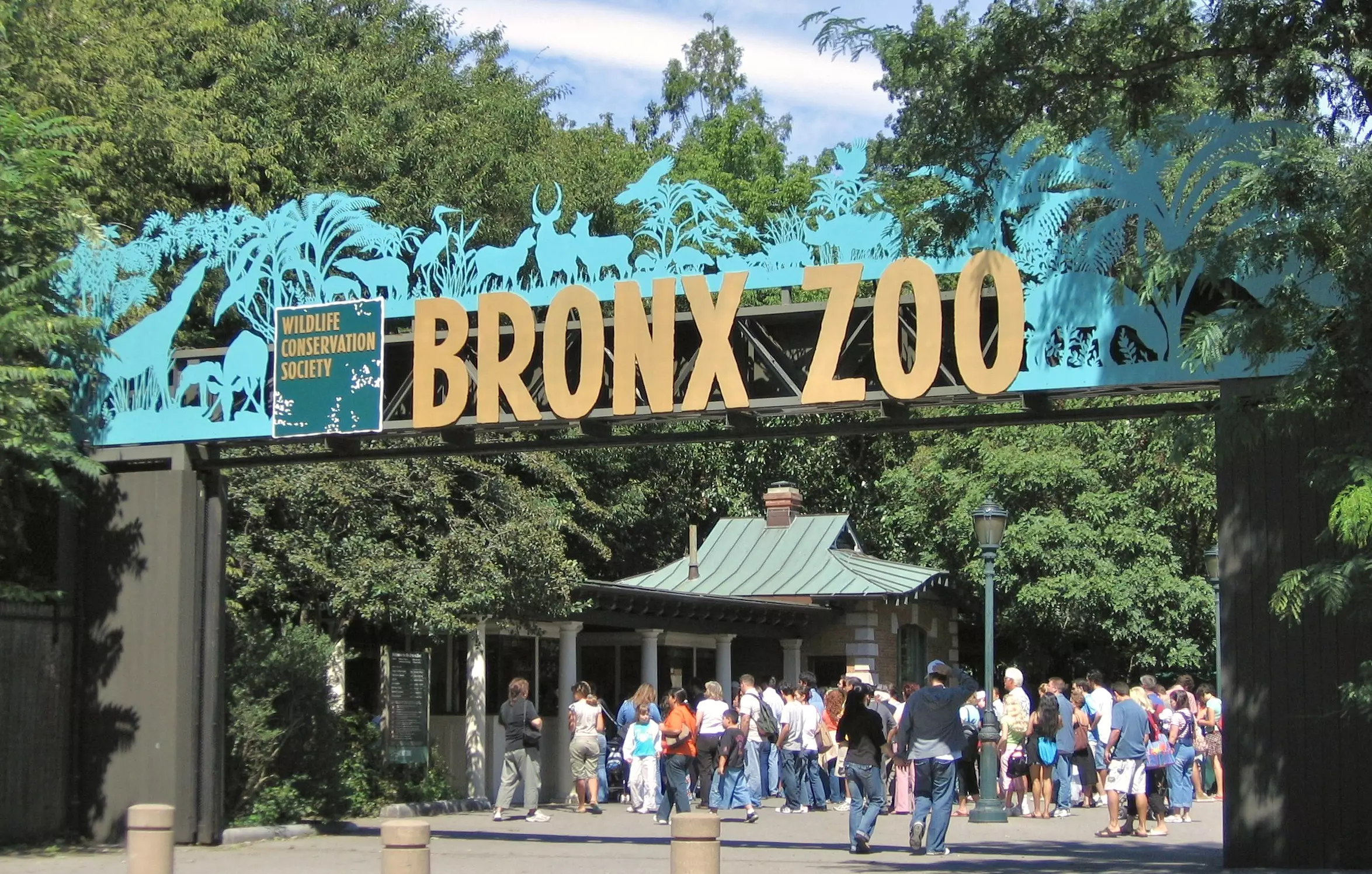 Бронкс зоопаркы