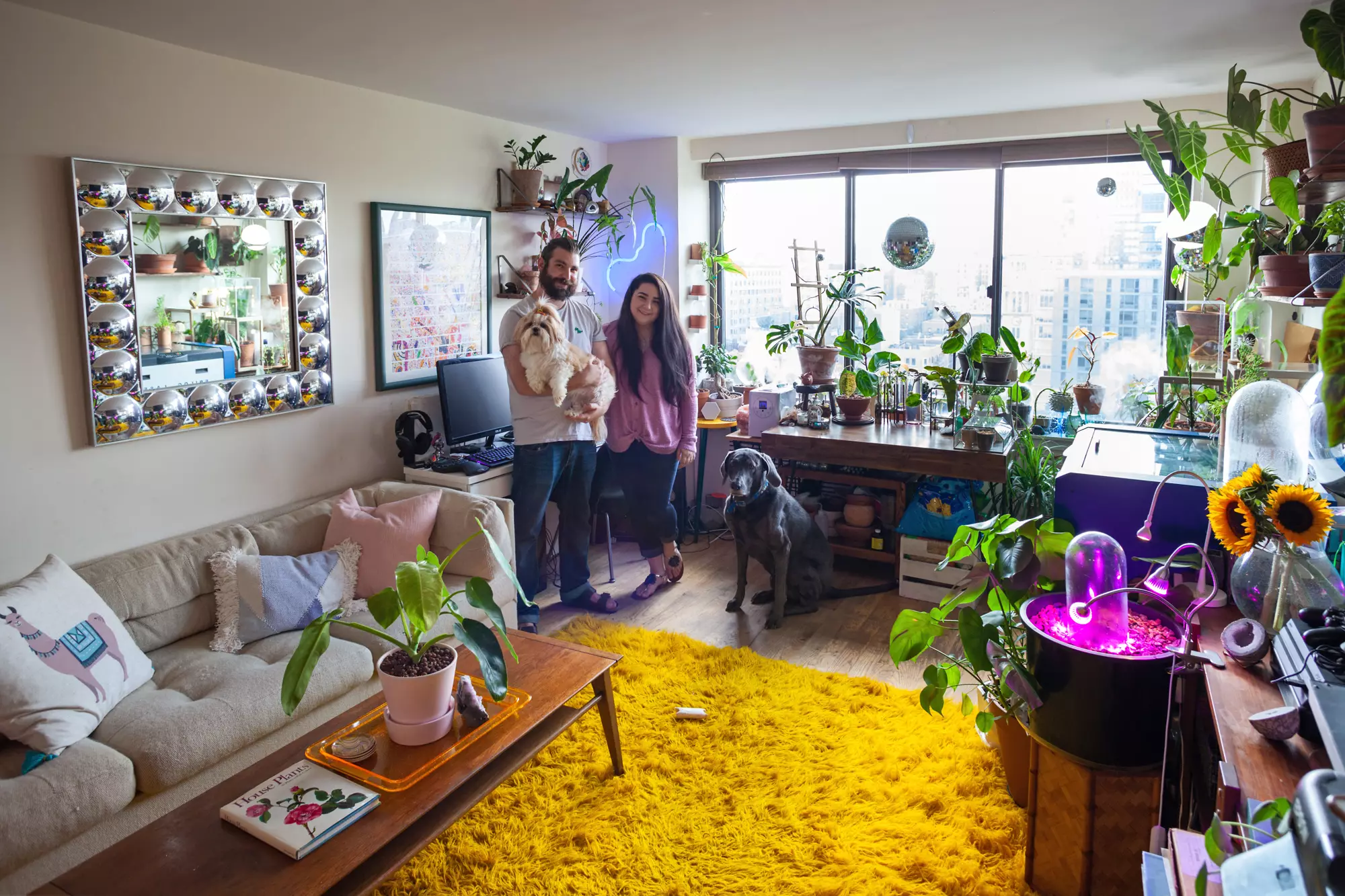 O loʻu 750sqft: Instagram's 'Apartment Botanist' o loʻo faʻatupuina le toeitiiti 200 laʻau i le Upper West Side 12101_1