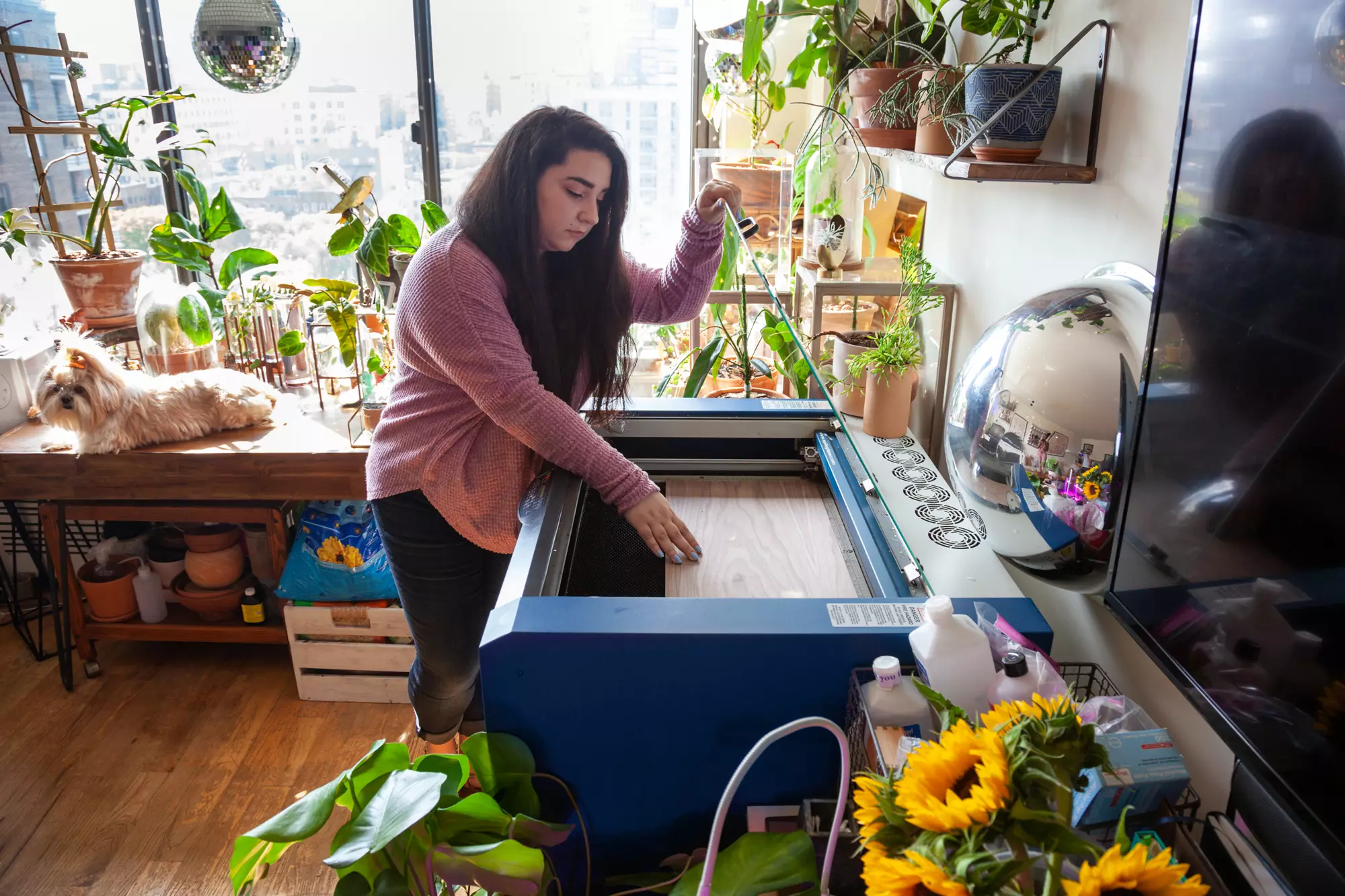 Moje 750m²: Instagram „Apartment Botanist” uprawia prawie 200 roślin na Upper West Side 12101_17