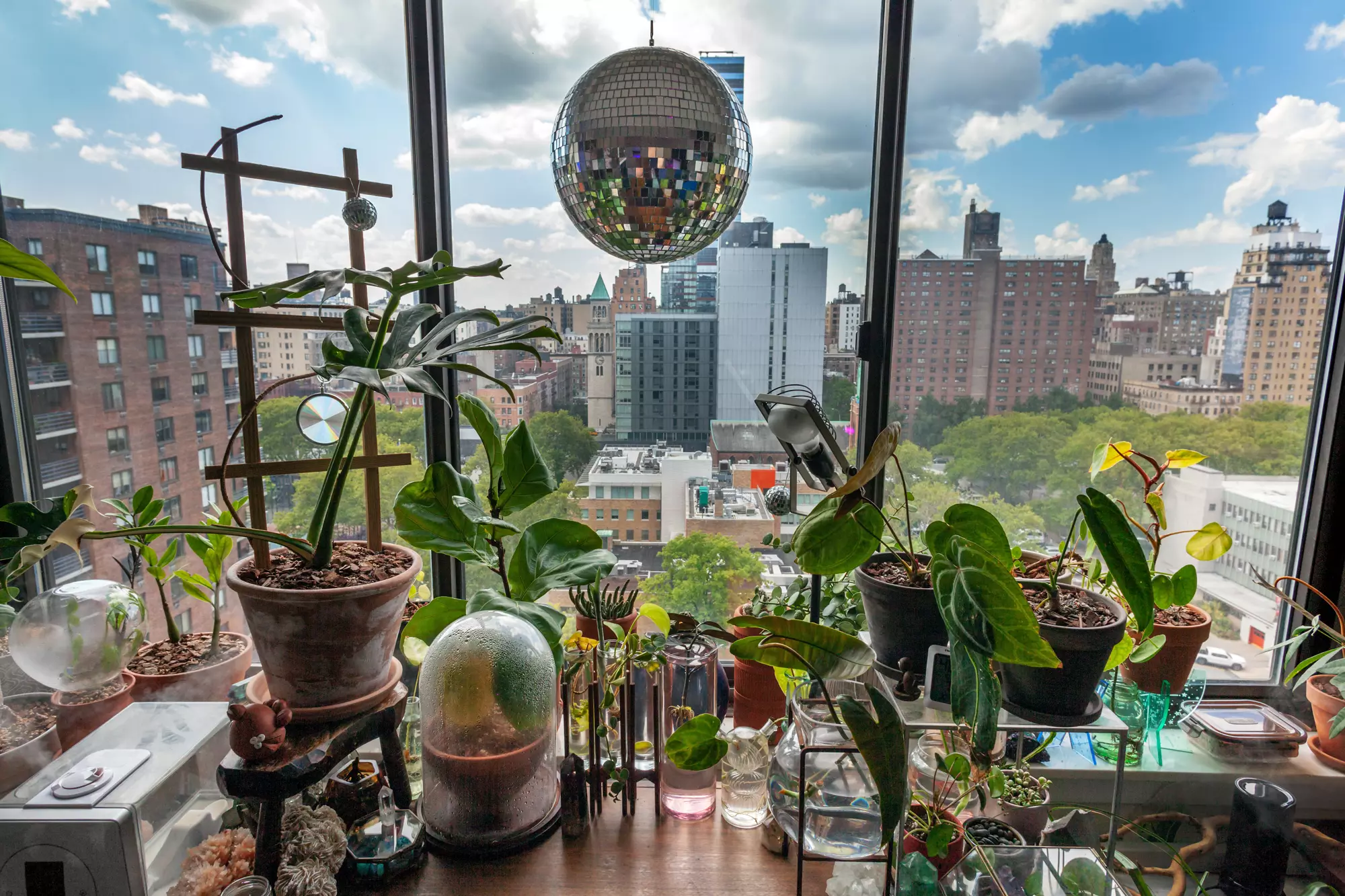 O loʻu 750sqft: Instagram's 'Apartment Botanist' o loʻo faʻatupuina le toeitiiti 200 laʻau i le Upper West Side 12101_3