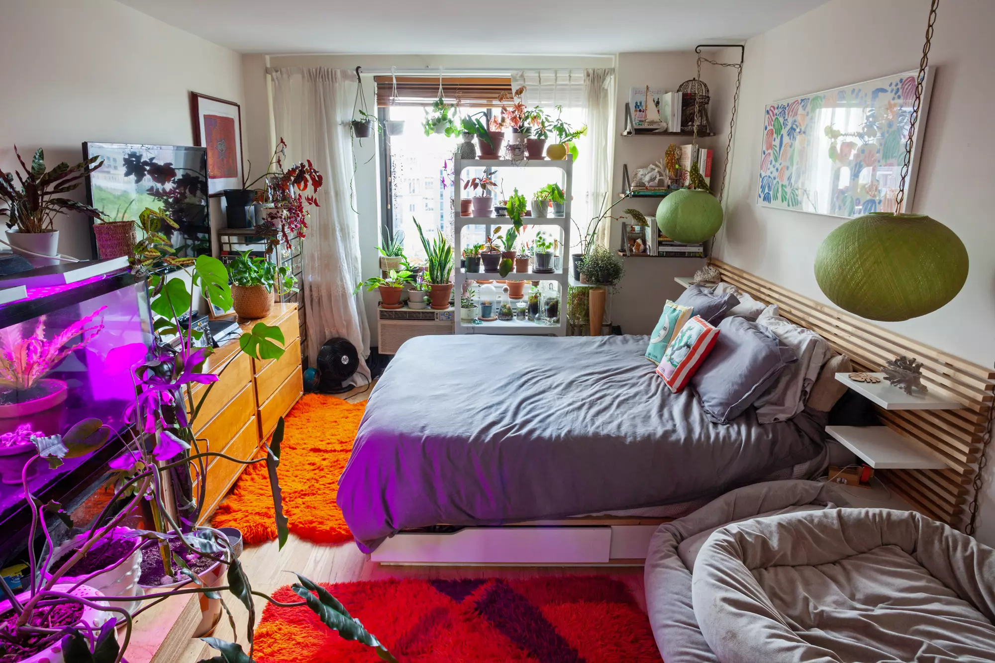 O loʻu 750sqft: Instagram's 'Apartment Botanist' o loʻo faʻatupuina le toeitiiti 200 laʻau i le Upper West Side 12101_5