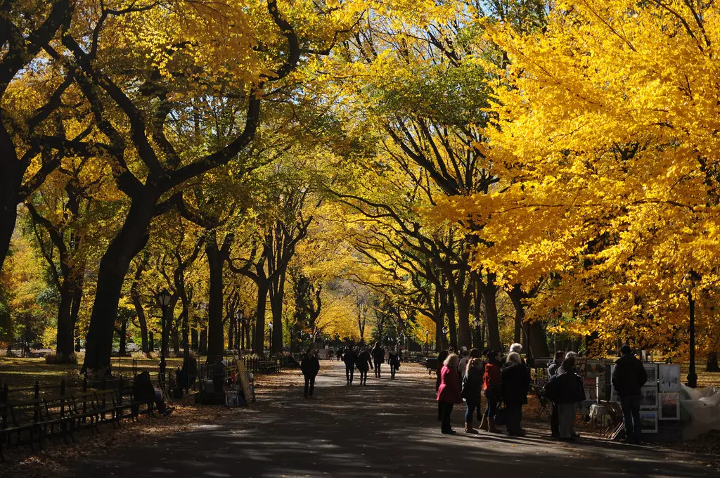 Kje najti jesensko listje v Central Parku 12141_2