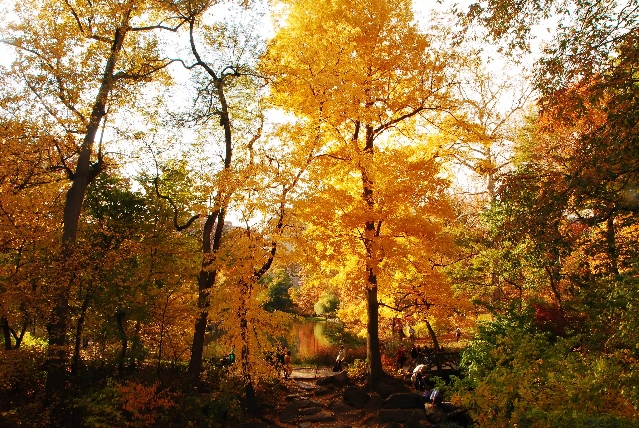 Gdje pronaći jesenje lišće u Central Parku 12141_3