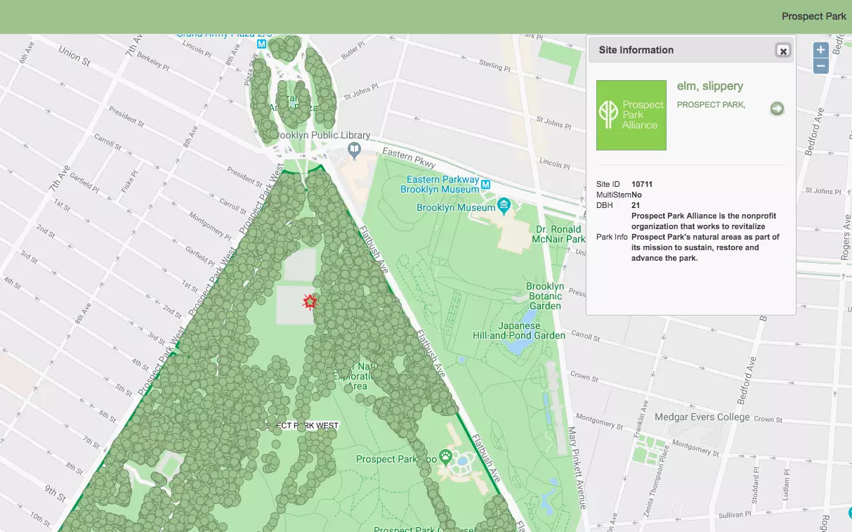 Интерактив карта Паркның 200 агач төрен өйрәнергә мөмкинлек бирә 12259_2
