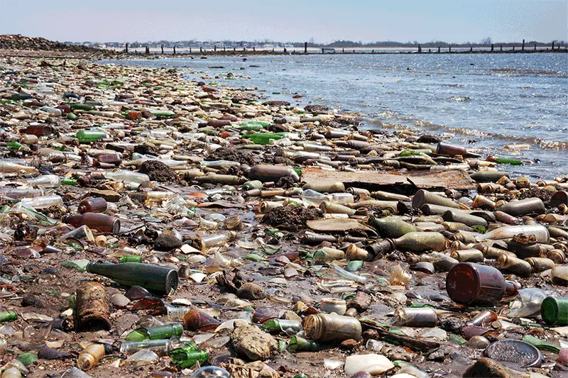 Wybierz się na wycieczkę do Dead Horse Bay, ukrytej skarbnicy śmieci i skarbów na Brooklynie 12472_1