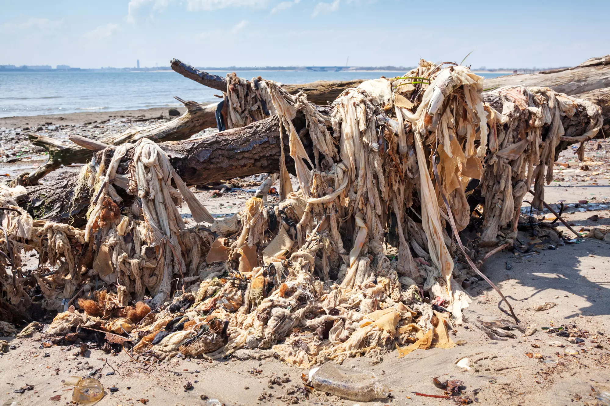 Nyokot tur of Dead Kuda Bay, trove disumputkeun Brooklyn urang tina sampah jeung harta karun 12472_10