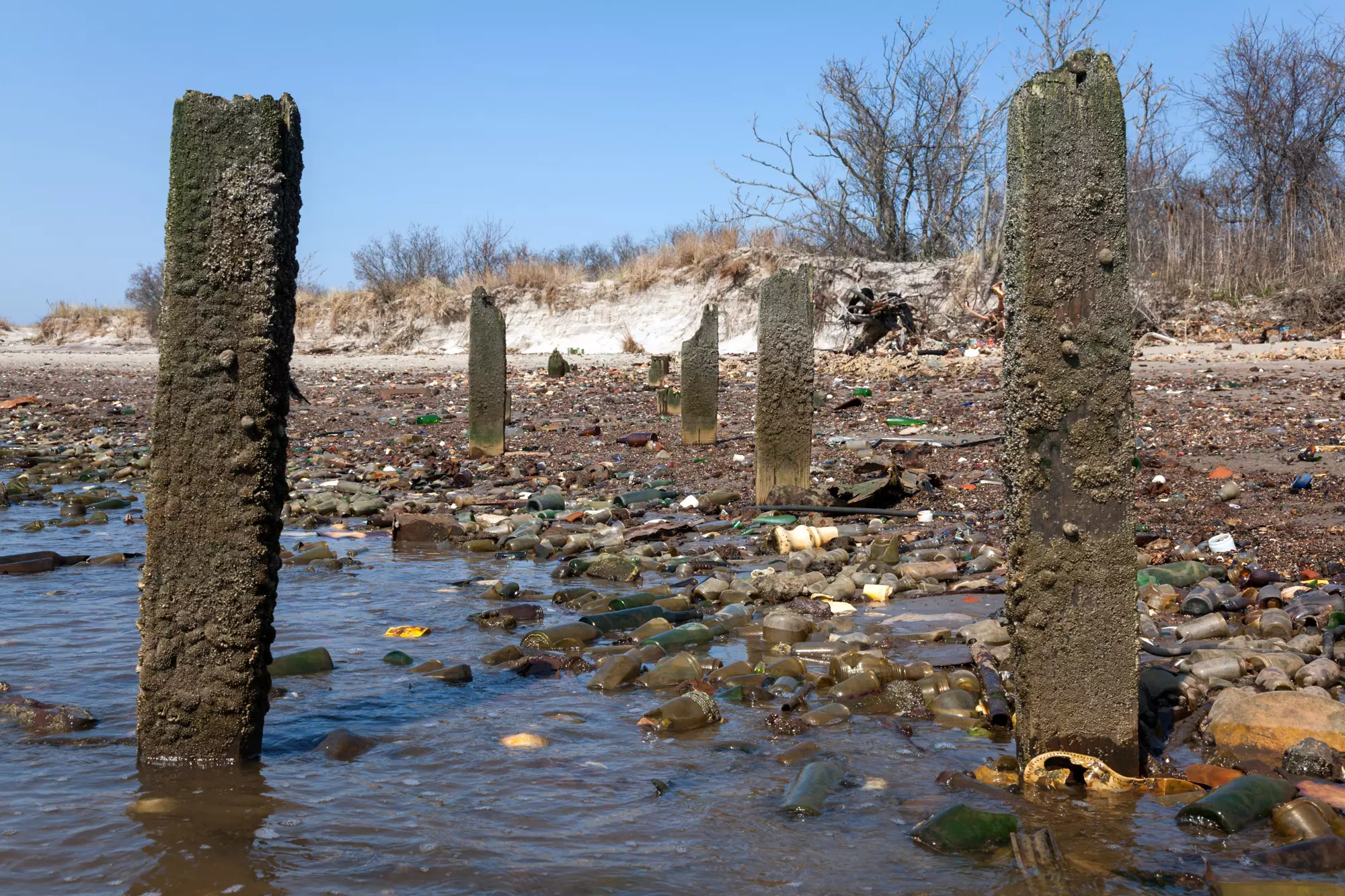 Nyokot tur of Dead Kuda Bay, trove disumputkeun Brooklyn urang tina sampah jeung harta karun 12472_13