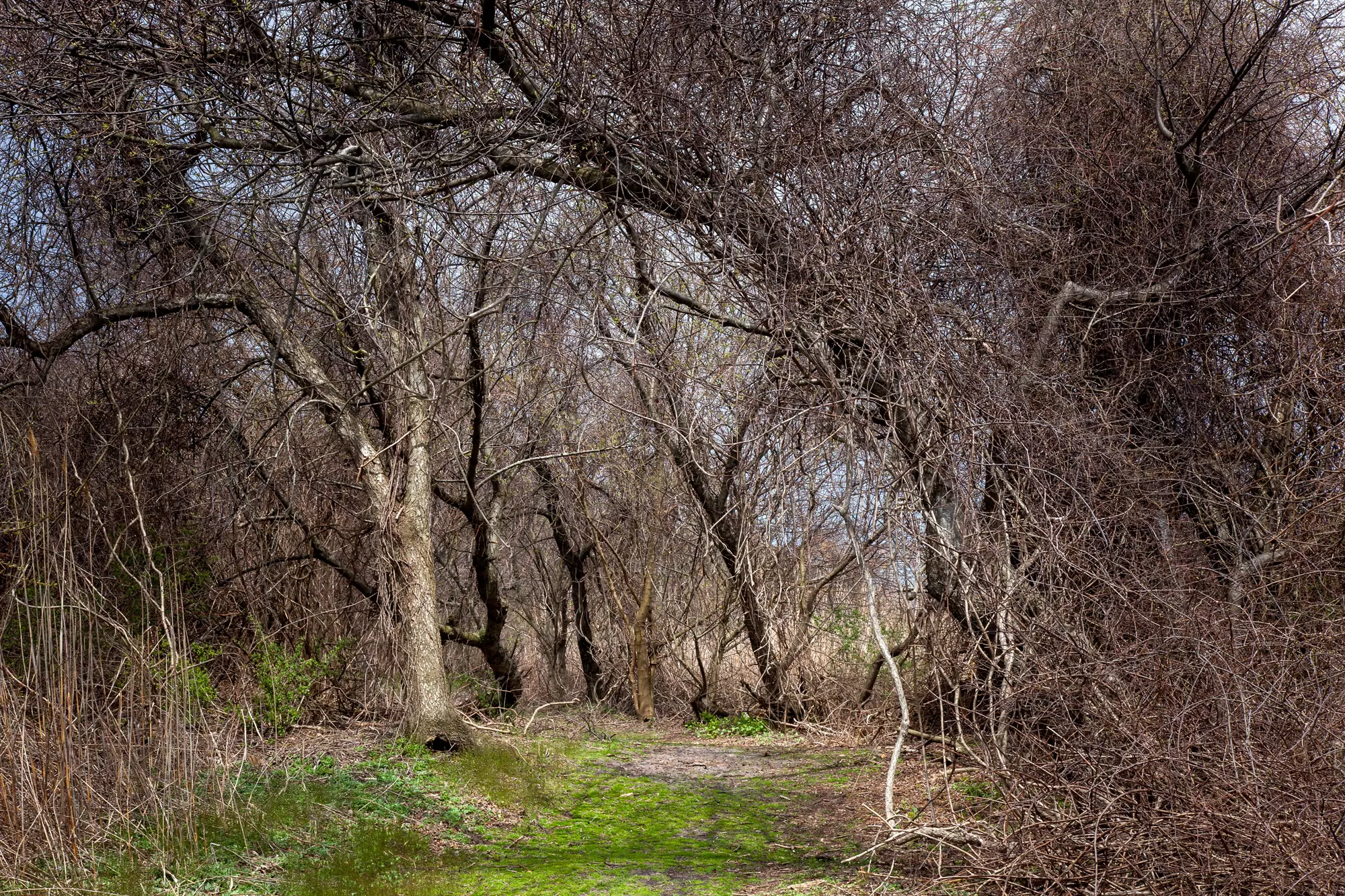 Fai un tour di Dead Horse Bay, il tesoro nascosto di spazzatura e tesori di Brooklyn 12472_2