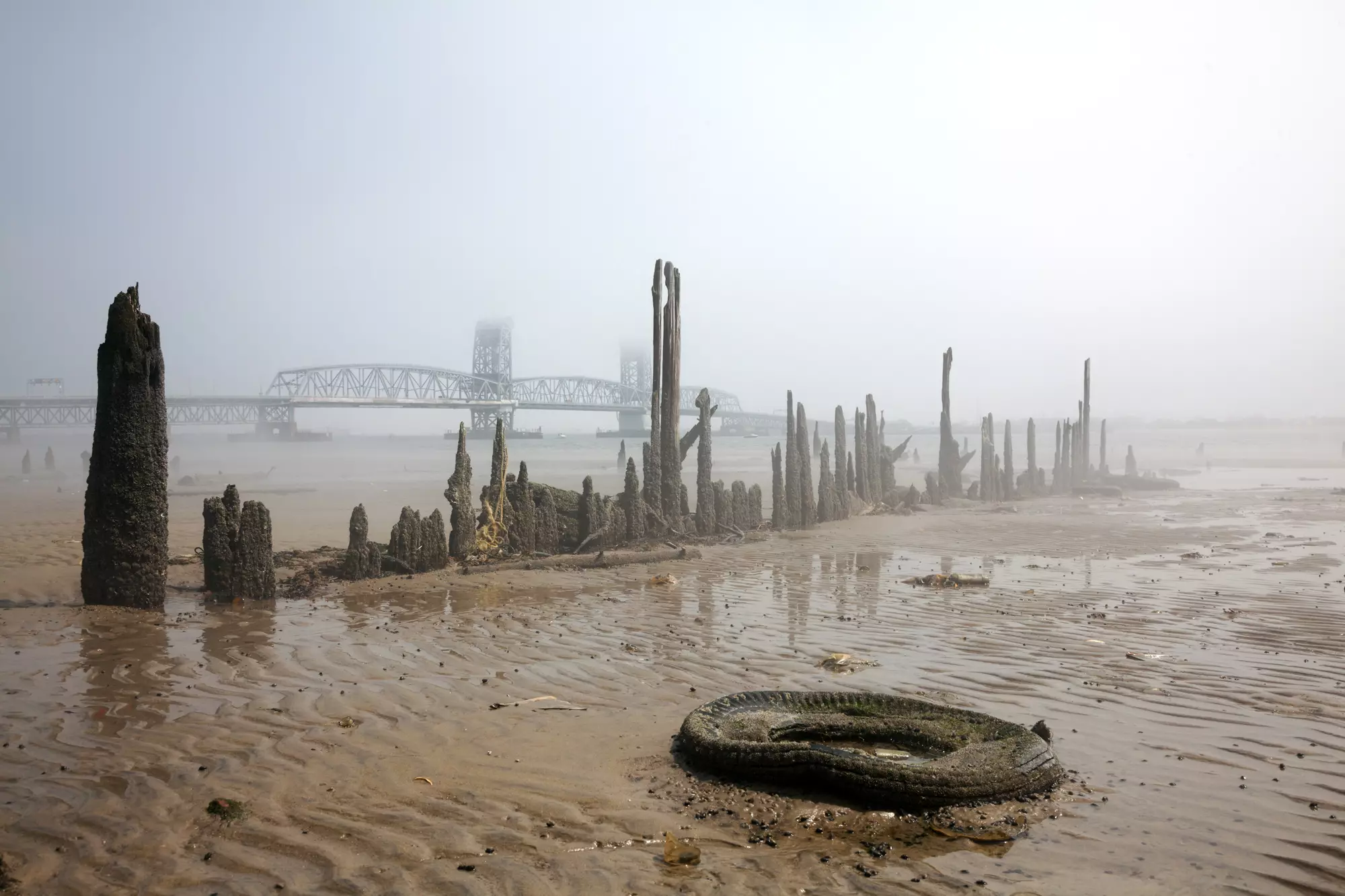 Nyokot tur of Dead Kuda Bay, trove disumputkeun Brooklyn urang tina sampah jeung harta karun 12472_3