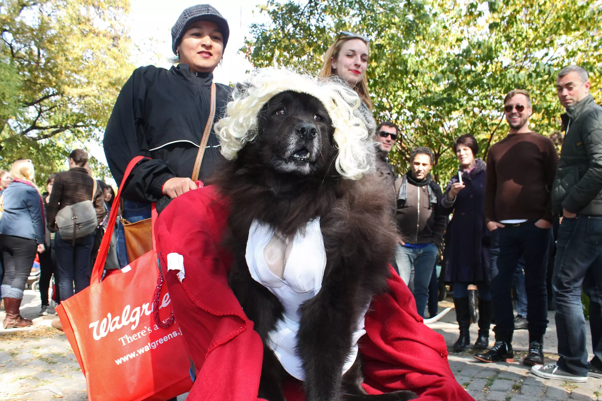 Alîkariya rizgarkirina Tompkins Square Parka Halloween Dog Parade bikin 12512_3