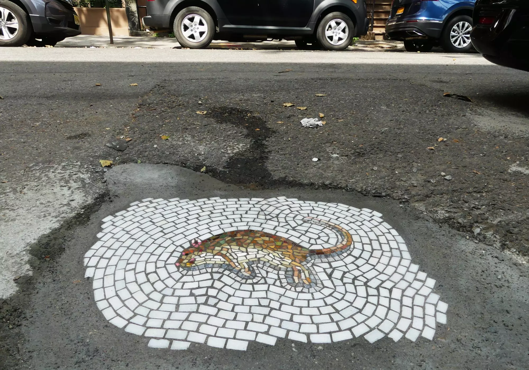 Jim Bachor, pothole mosaic, NYC potholes, Vermin of New York