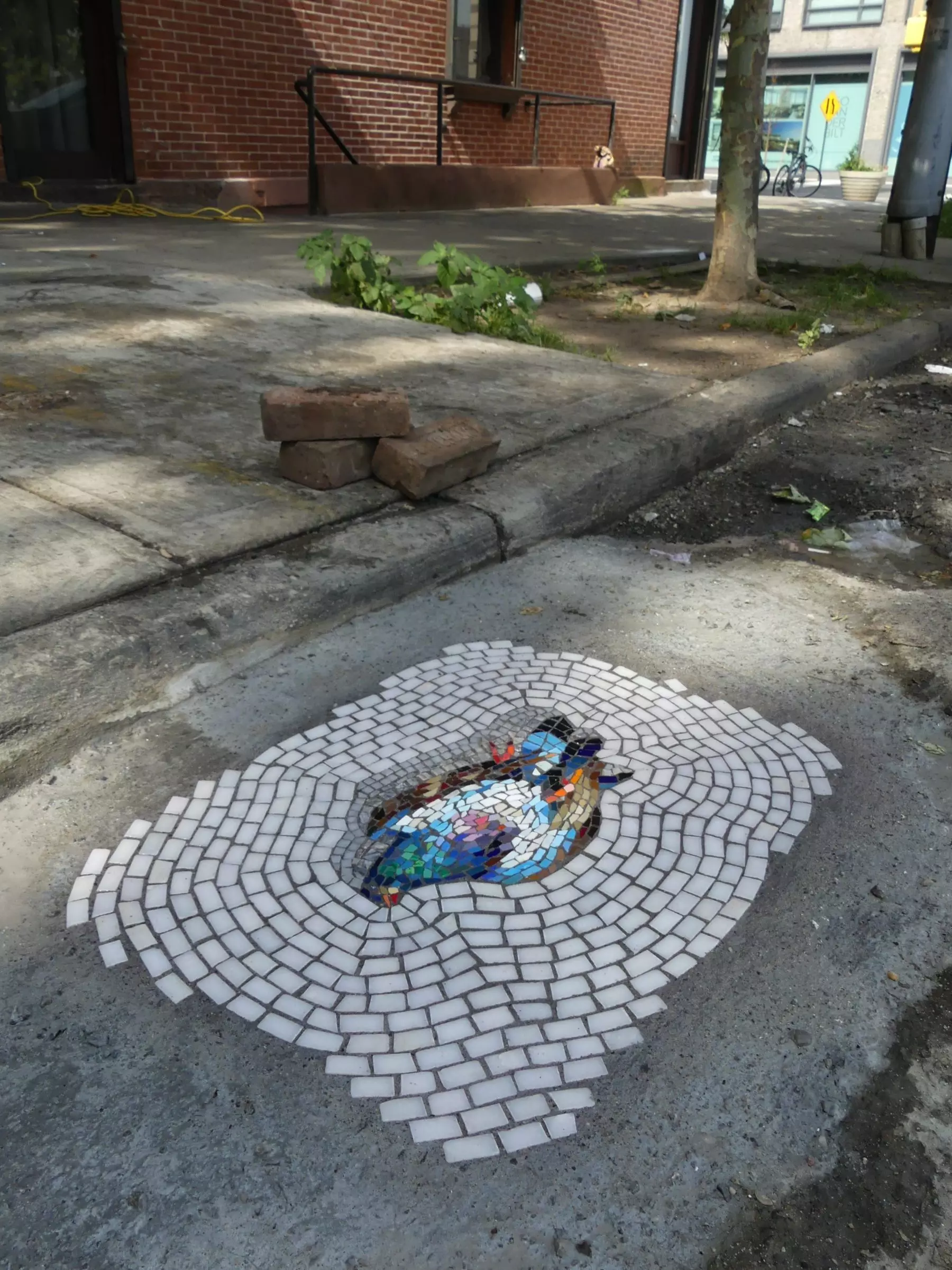Jim Bachor, pothole mosaic, NYC potholes, Vermin ntawm New York