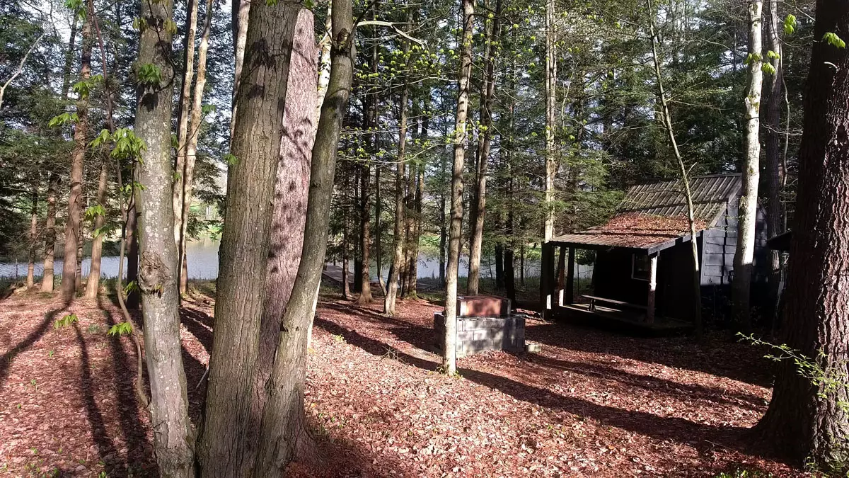 Denne rustikke Finger Lakes-hytte og taxidermifabrik på 90 acres kan blive din for kun $1 mio. 13293_16