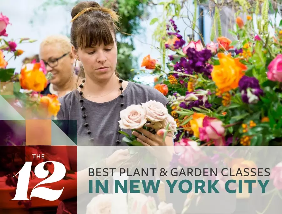 12 prazas para clases de xardinería, plantas e flores en Nova York 13783_1
