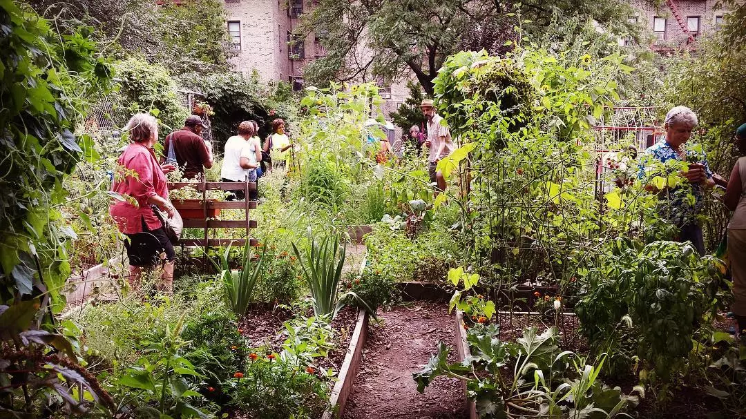 12 prazas para clases de xardinería, plantas e flores en Nova York 13783_13