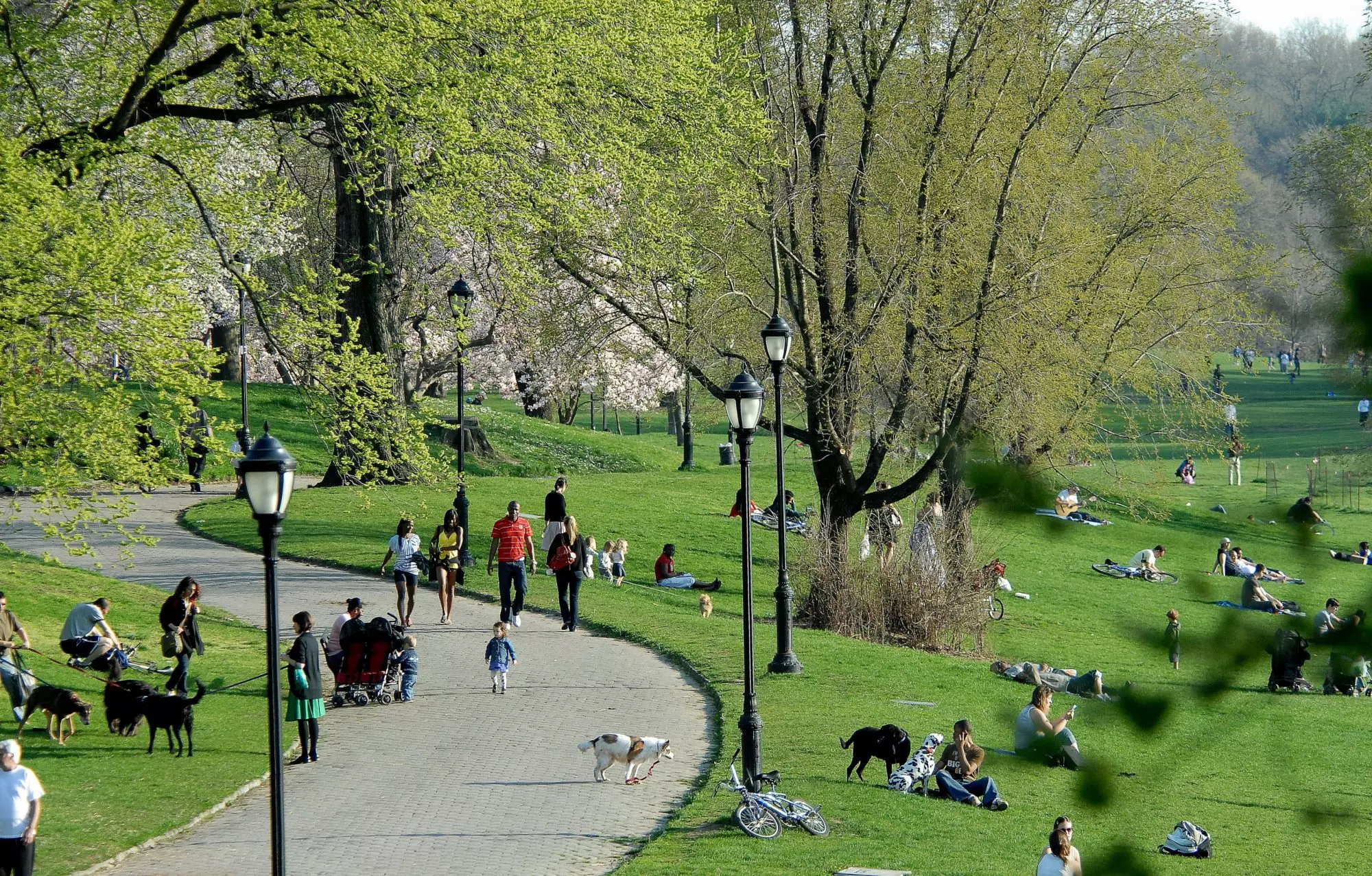 Švęskite „Prospect Park“ atidarymo savaitgalį su 1860-ųjų stiliaus žaidimu, gaudyklių medžiokle ir kt. 14275_1