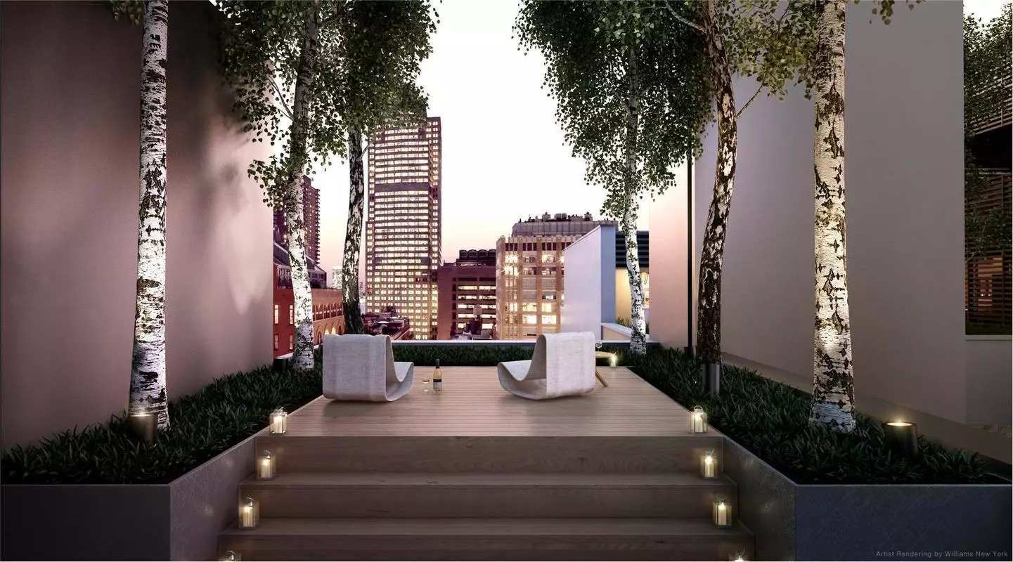 联排别墅 2.0：纽约市开发商重新诠释单户住宅的公寓生活 14542_7