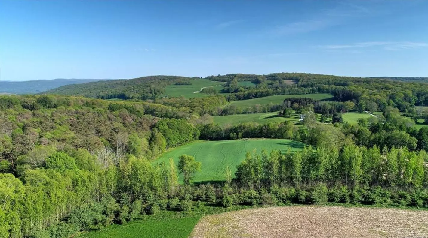 $ 17M Dutchess County 'castle' kamodzi inali ya Andrew Carnegie 16024_17