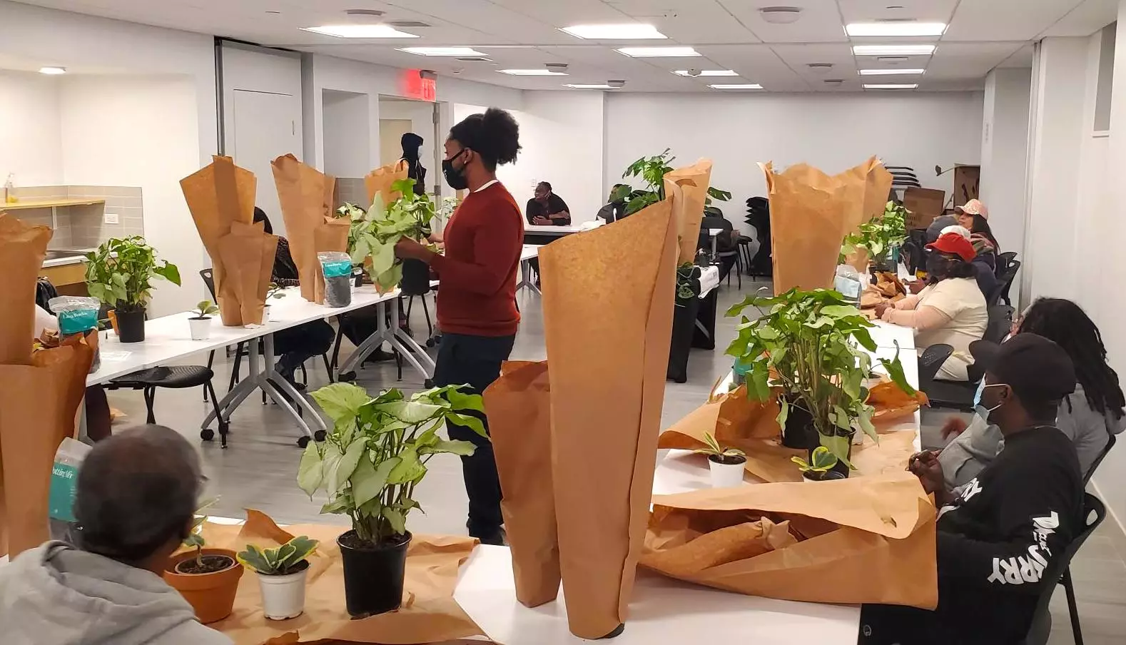 Jak Planter Rob powiększa społeczność miłośników roślin i zwolenników niedrogich mieszkań w Nowym Jorku? 1611_1