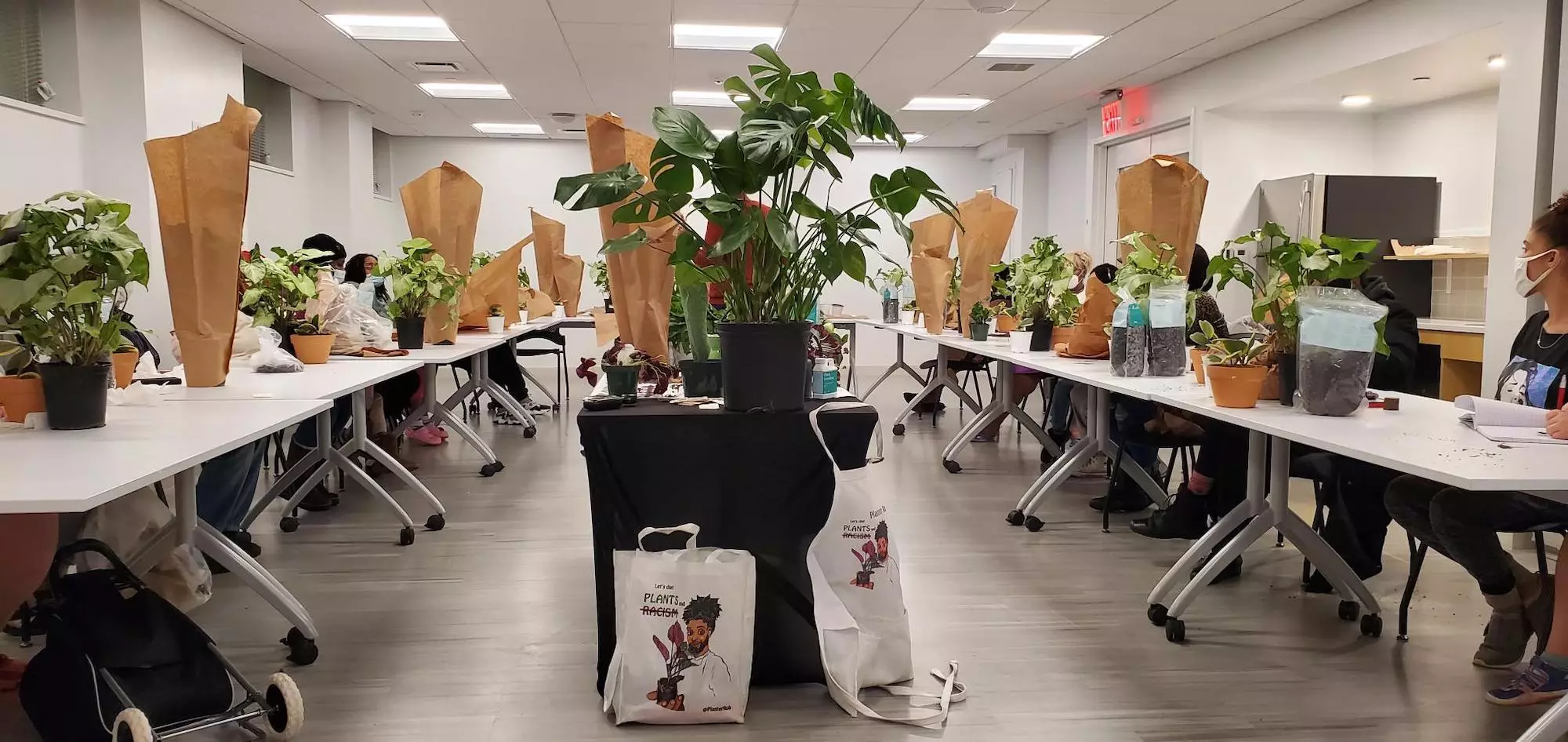 Planter Rob, NYC'de bitki severler ve uygun fiyatlı konut savunucularından oluşan bir topluluğu nasıl büyütüyor? 1611_3
