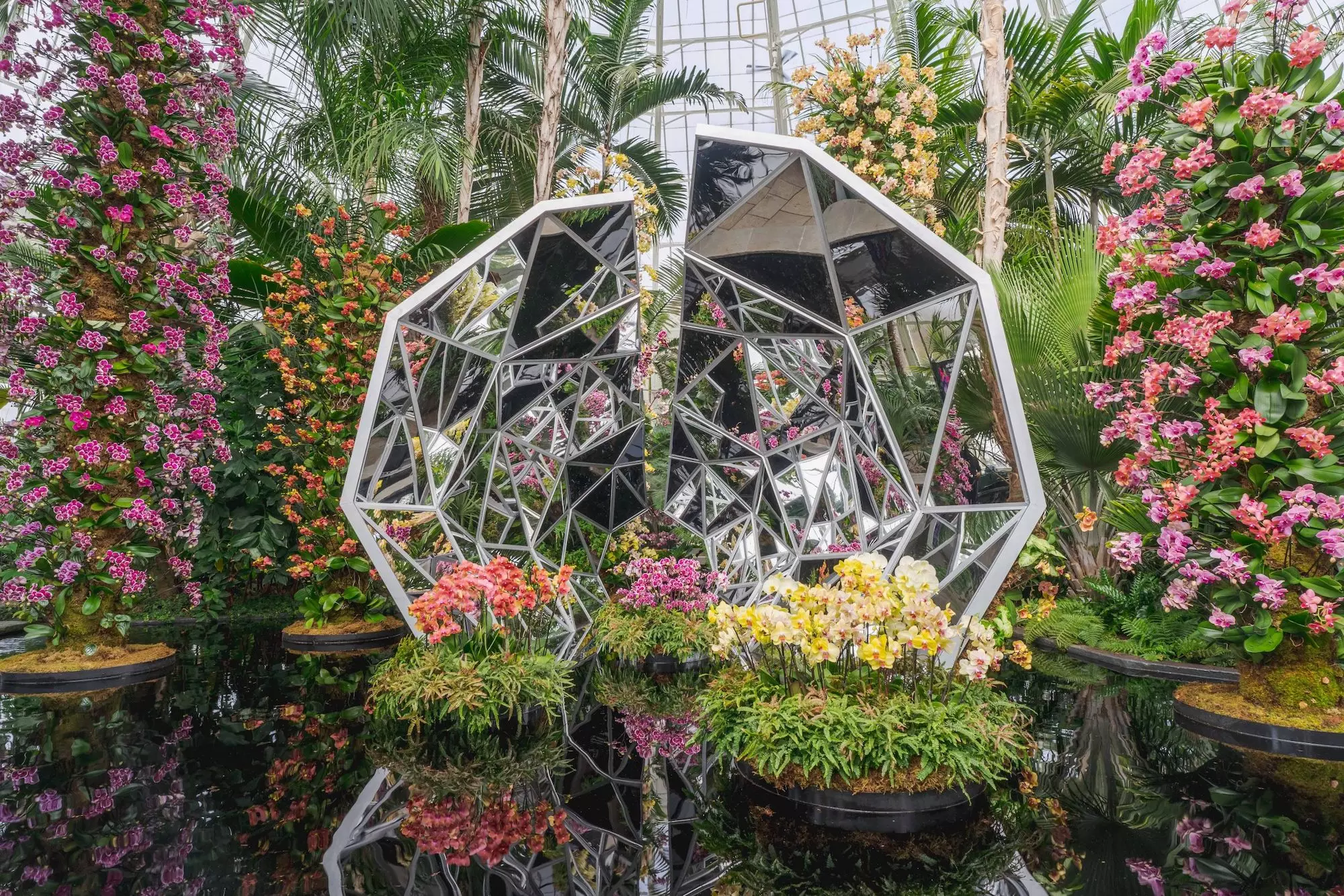Nagbabalik ang makulay na orchid show ng New York Botanical Garden para sa ika-19 na taon 1633_1