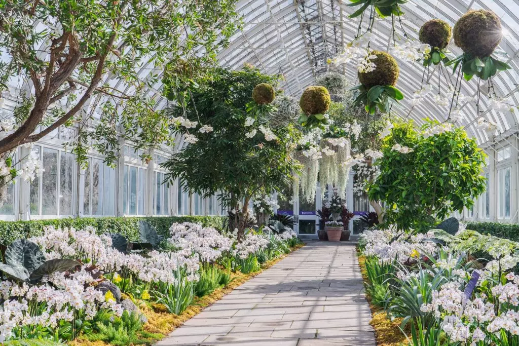 De kleurrijke orchideeënshow van de New York Botanical Garden keert terug voor 19e jaar 1633_2