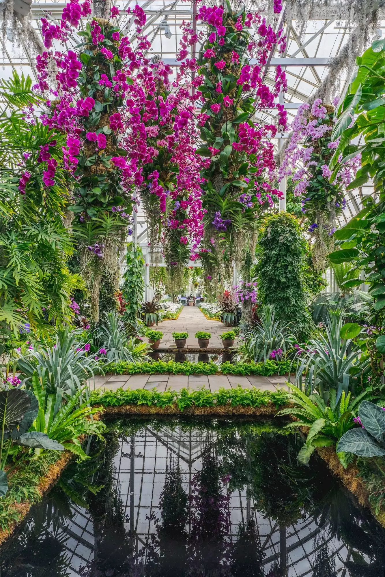 Ifihan orchid ti o ni awọ ti New York Botanical Garden pada fun ọdun 19th 1633_3