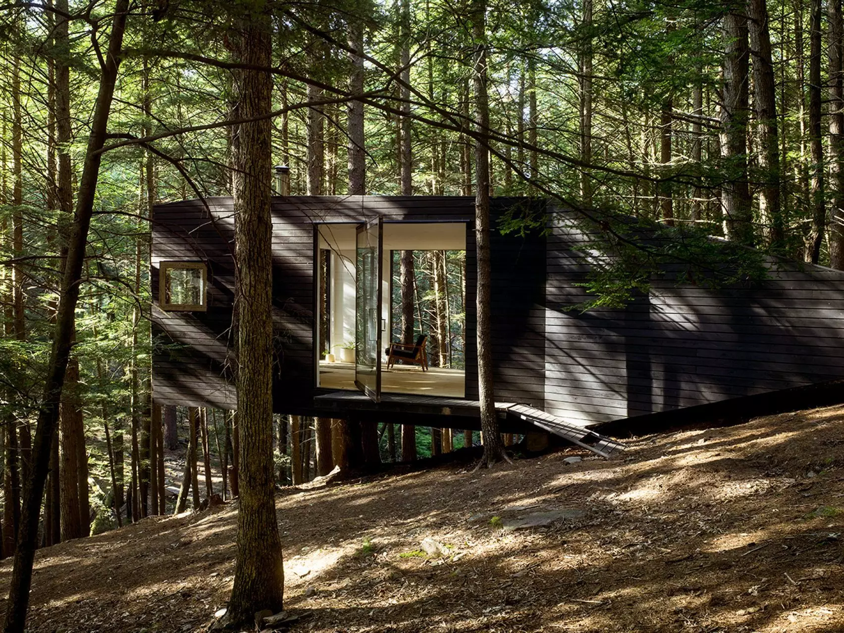 Jednopokojový dům na stromě v lese na severu státu postavili jeho majitelé 16438_1