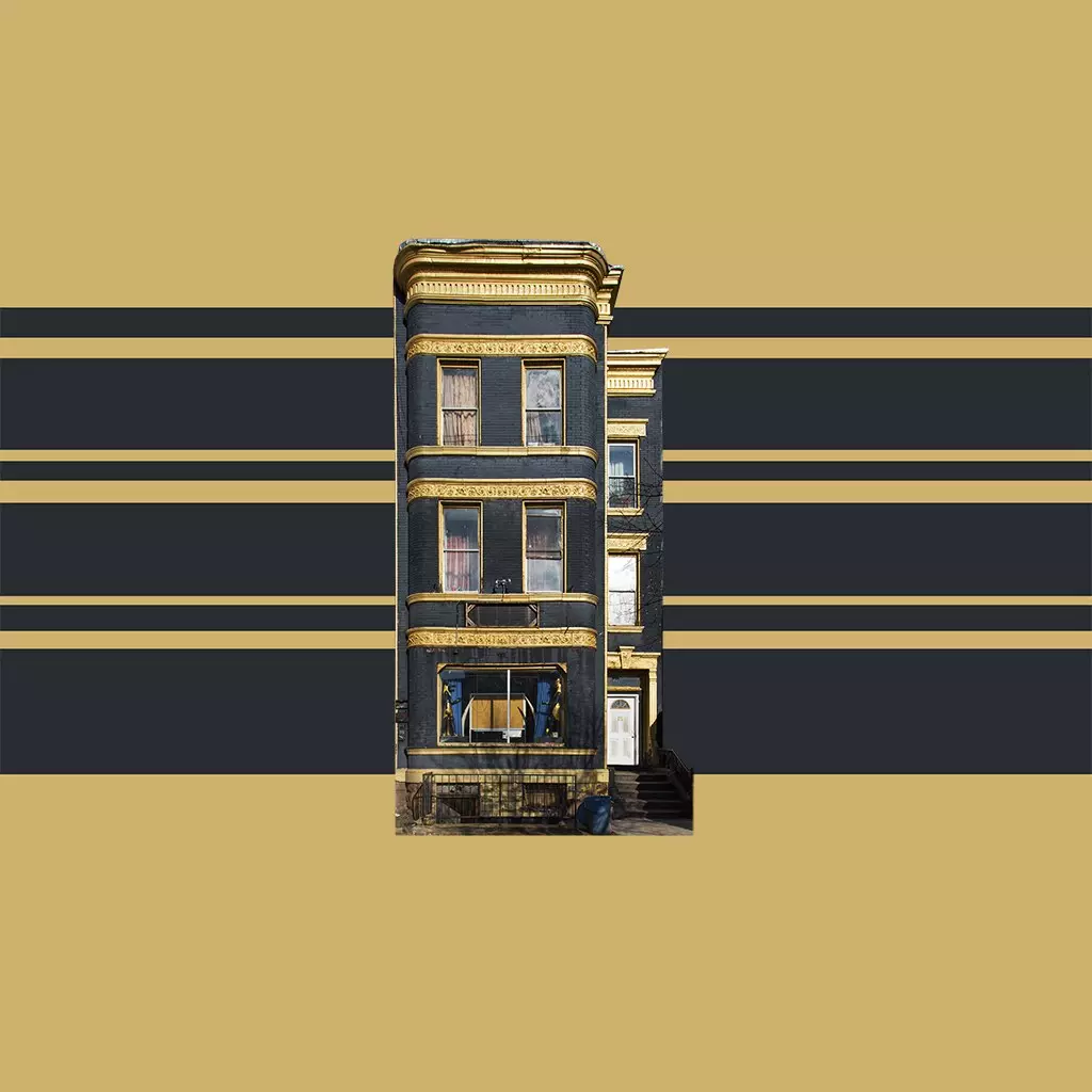The Urban Lens: графические изображения Нива Розенберга подчеркивают разнообразие жилья Бушвика. 17168_5