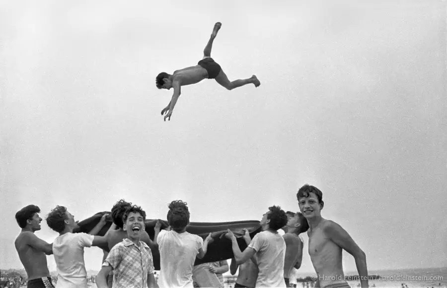 Harold Feinstein