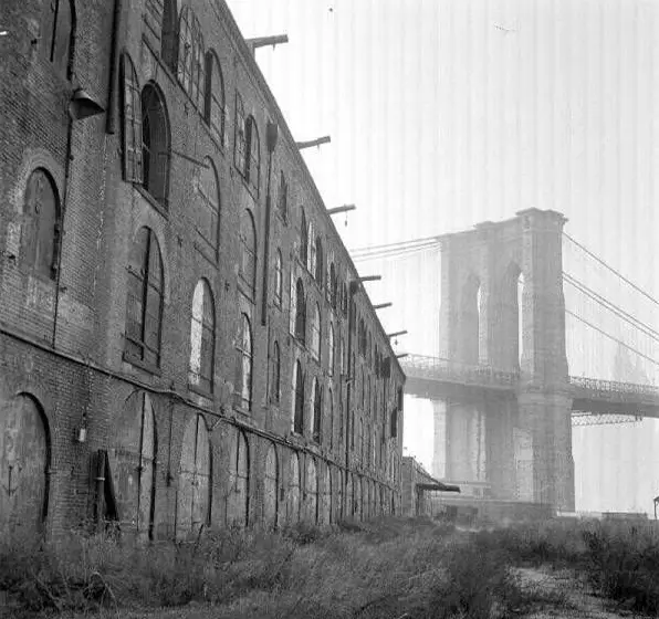 MÜSAHİBƏ: Joanne Witty Brooklyn Bridge Parkın tarixi və çevrilməsi haqqında 18008_4