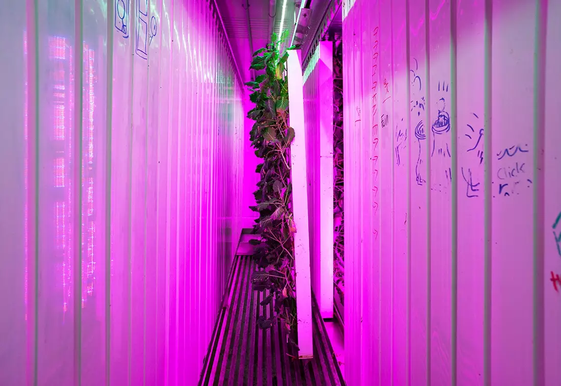 Hvor jeg jobber: Gå inn i Square Roots' futuristiske containerfarm i Bed-Stuy 18691_9