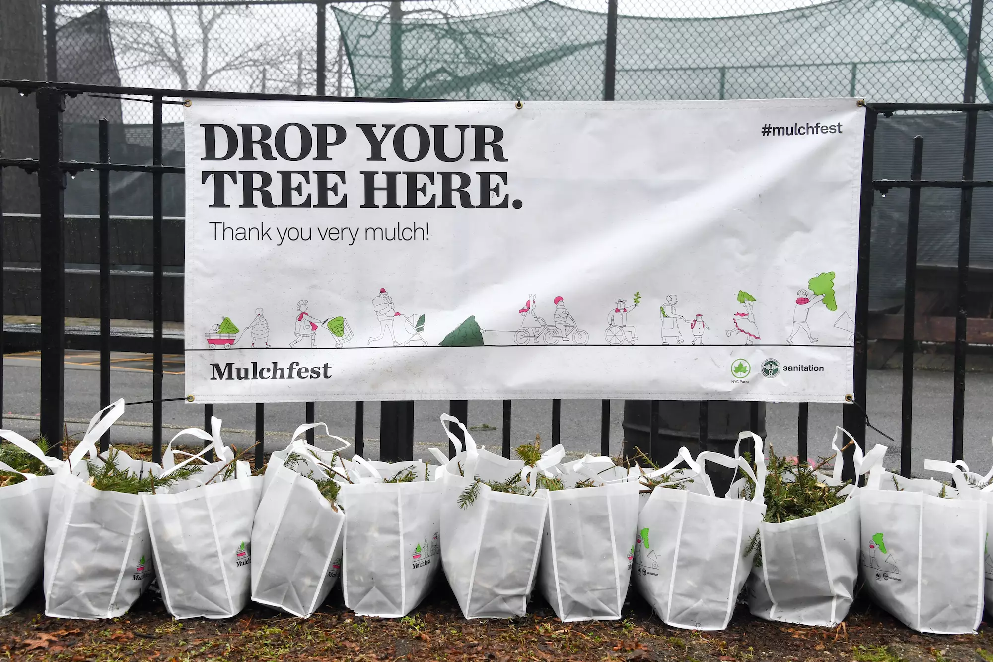 Mulchfest se vrača: Evo, kako reciklirate svoje božično drevo v NYC 2025_1