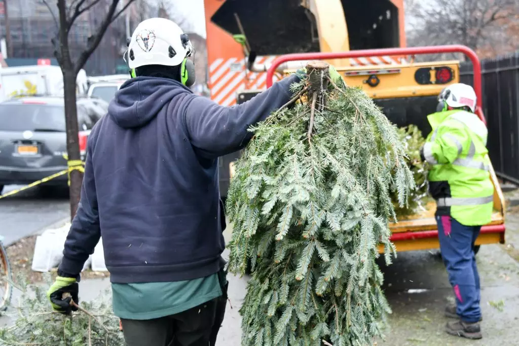 Mulchfest kembali: Begini cara mengitar semula pokok Krismas anda di NYC 2025_2