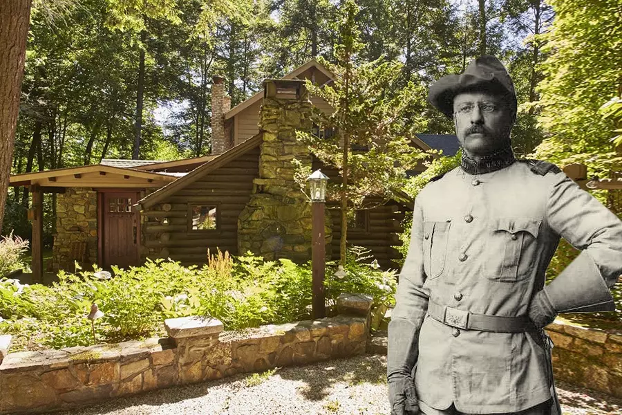 Vivi come Theodore Roosevelt in una capanna di tronchi aggiornata a nord dello stato per $ 1,15 milioni 20359_1