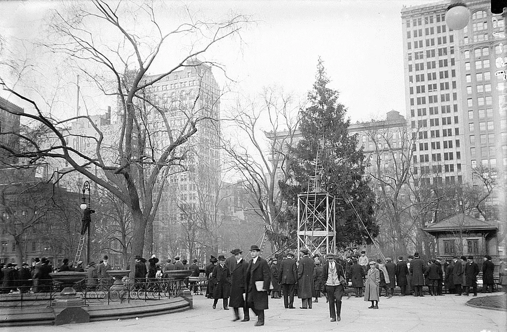 104 vuotta sitten maan ensimmäinen julkinen joulukuusi nousi Madison Square Parkiin 20637_1