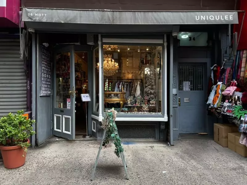 Над 30-те најдобри маалски продавници во Њујорк за наоѓање на совршен подарок 2141_6
