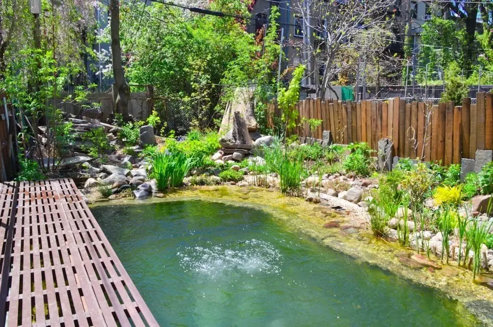 Doğal yüzme havuzlu ve yeşil çatılı Brooklyn 'eko tripleks' gecelik 1.400$'a kiralama 21729_1