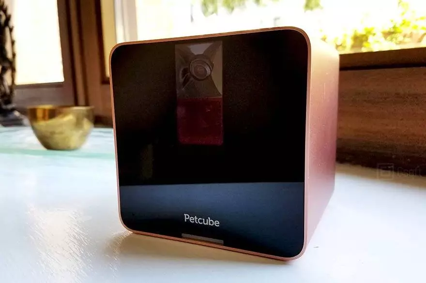 Petcube интерактив камерасы белән сезнең йорт хайваннарыгыз һәм башкаларның йорт хайваннары белән уйнагыз 21809_1