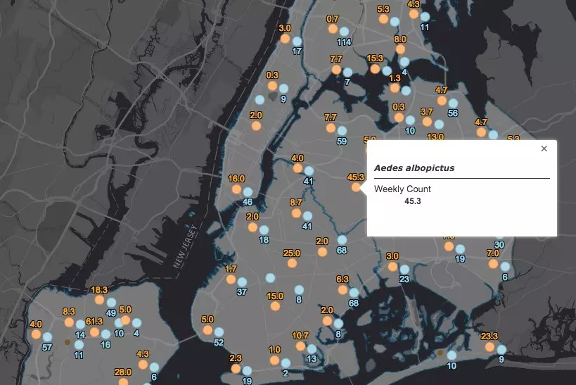 NYC-mosquito-map-2016-kaptiloj-2